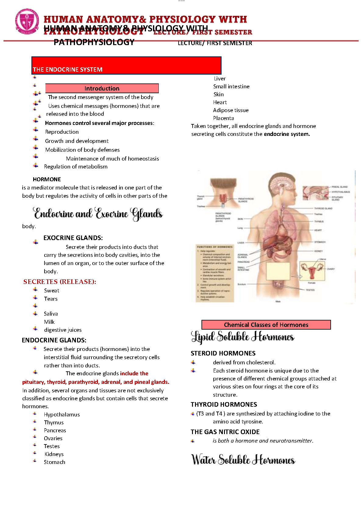 Human Anatomy, Physiology & Pathophysiology First Semester Lecture ...