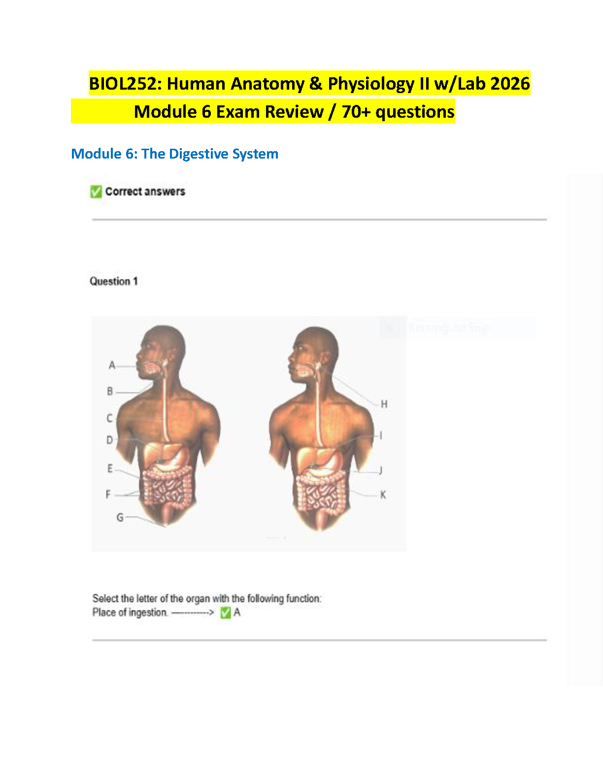 EENT Medical Specialties Study Guide 2025/2026: Master Eye Anatomy ...