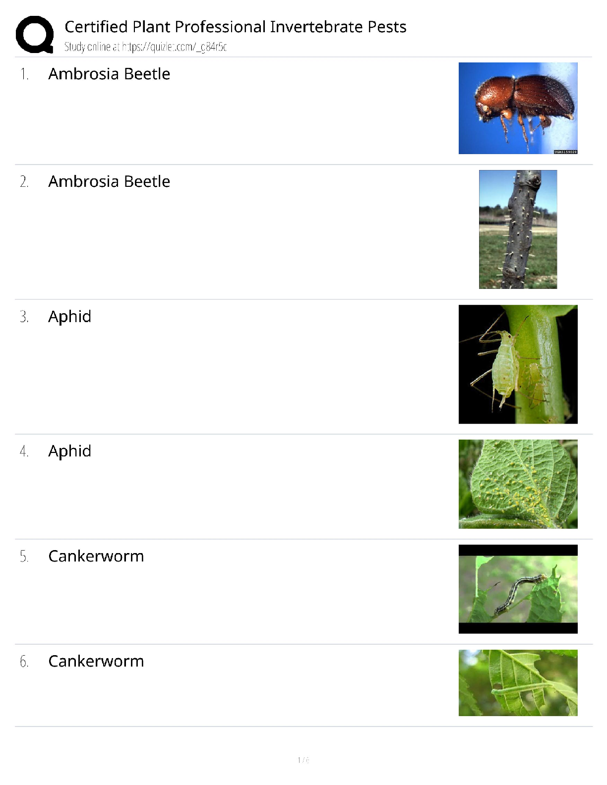 NC Paralegal Certification Exam Study Guide 2025/2026: Key Terms ...