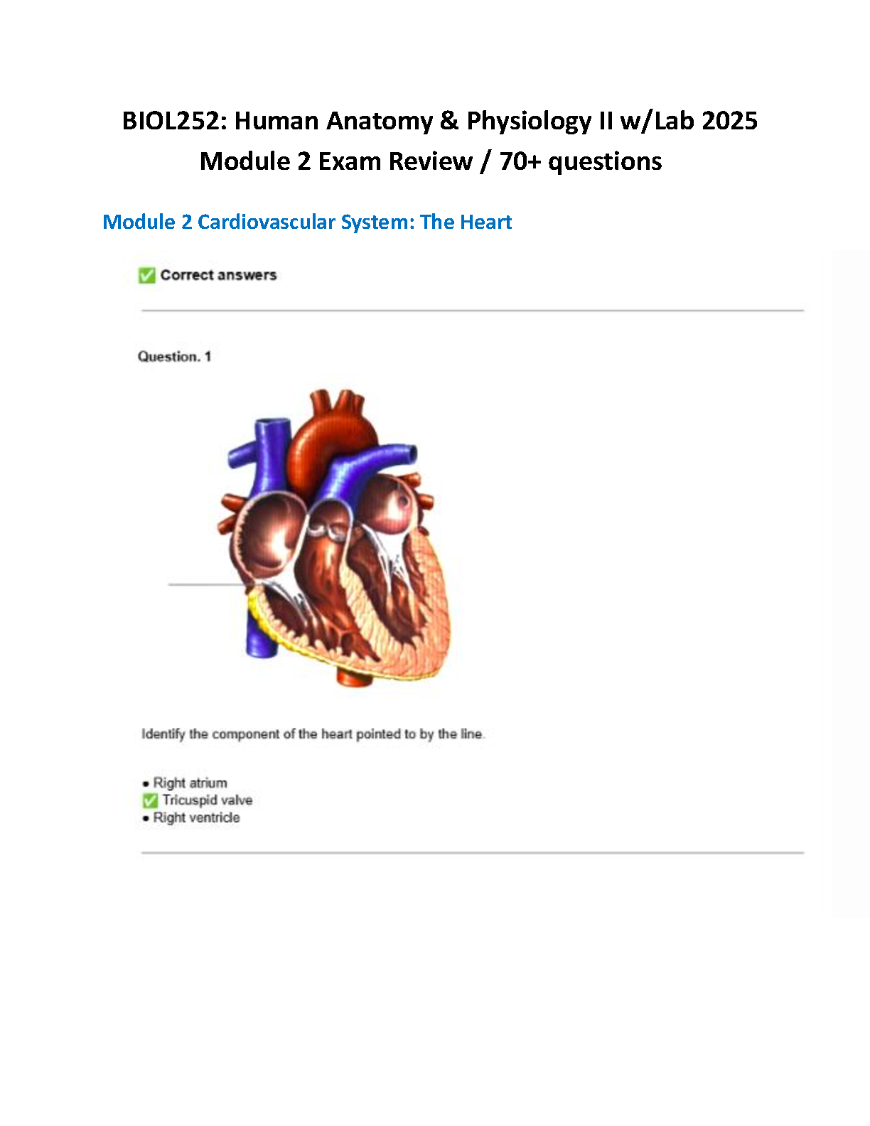 BIOL252 Human Anatomy & Physiology II Test Bank: Module 2 Exam (The ...